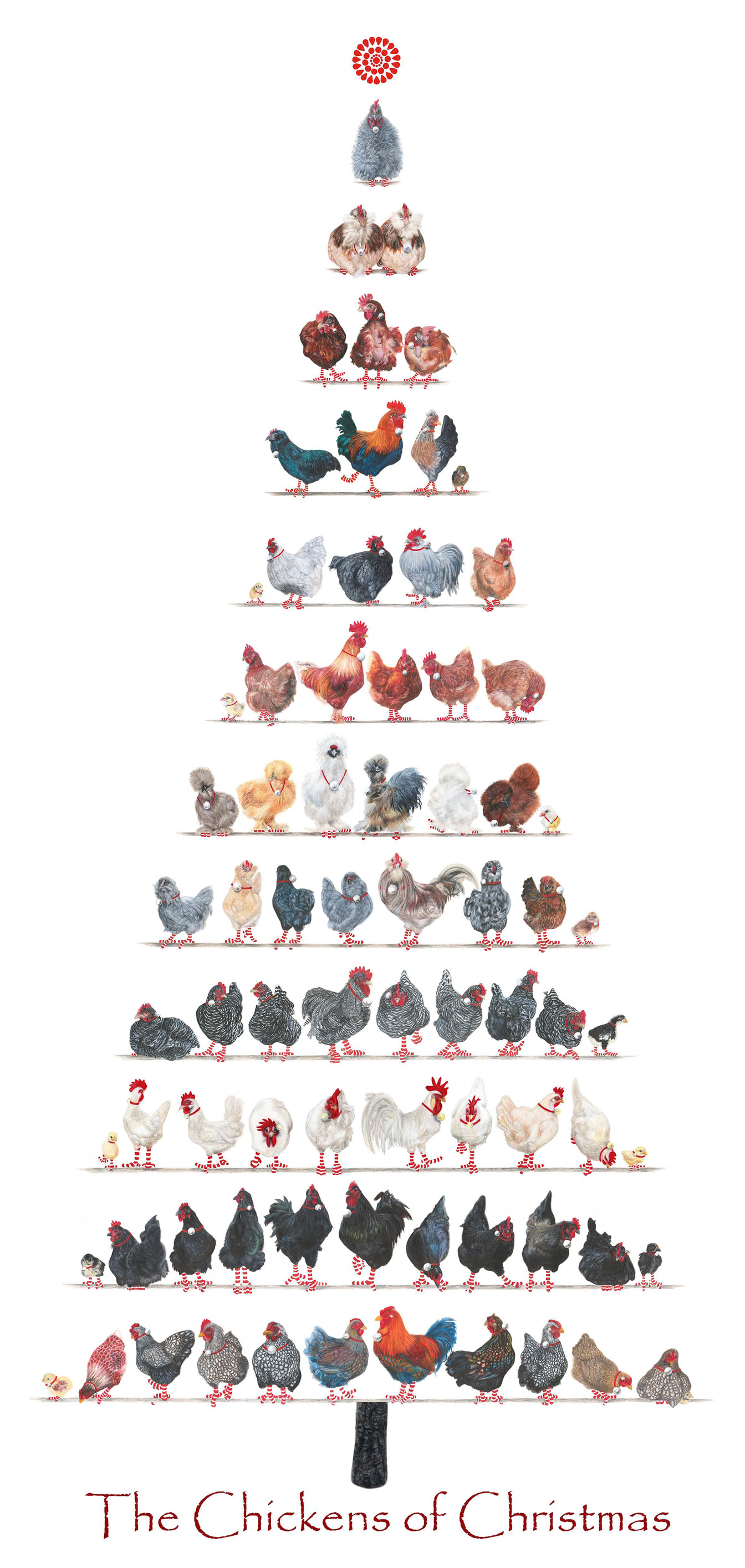 The Chickens of Christmas Poster